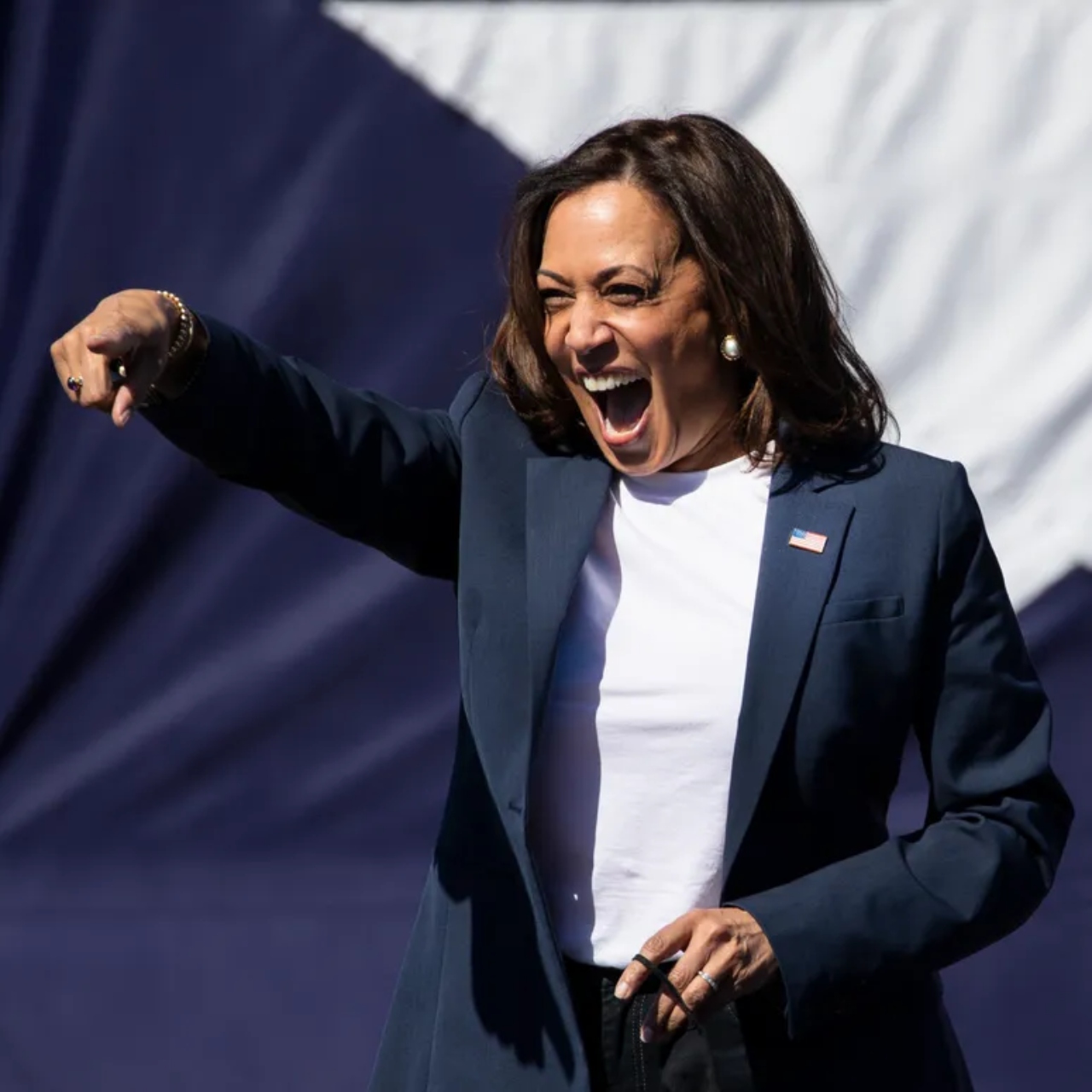 Does the “Peter Principle” apply to Kamala Harris? - The Punching Bag Post