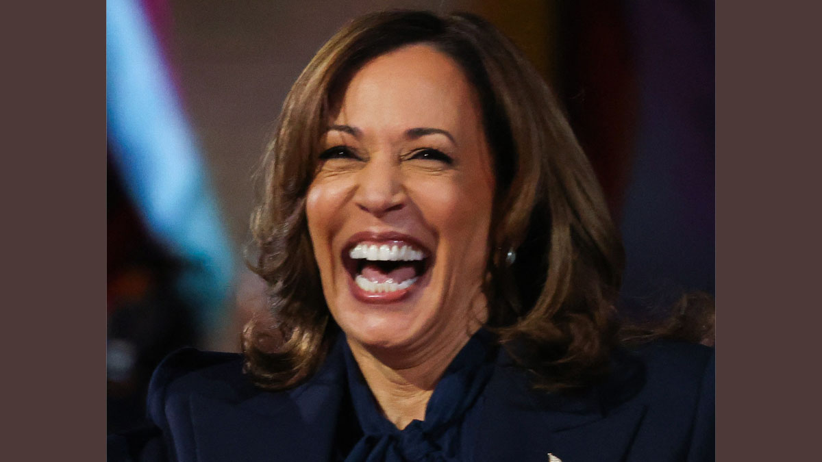 Kamala looking for a comeback ... fat chance - The Punching Bag Post